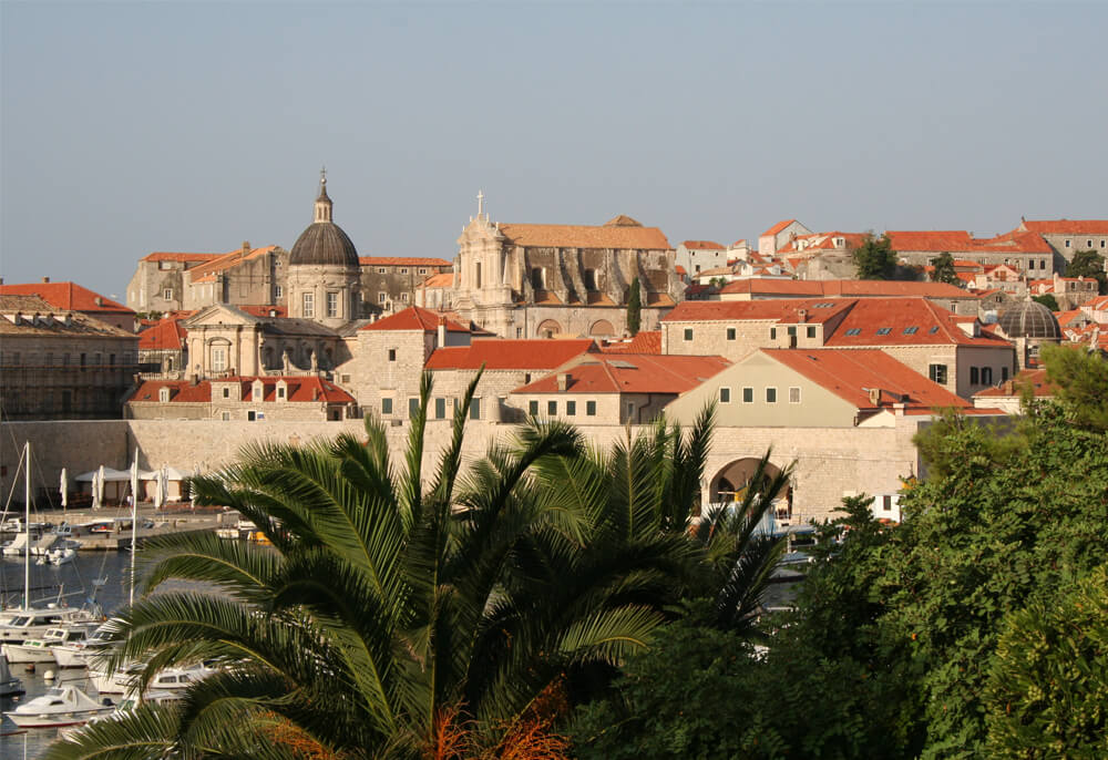 Homepage - Terranautika